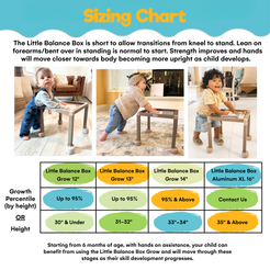Little Balance Box® Grow: The Only Developmental Tool Your Child Needs ...